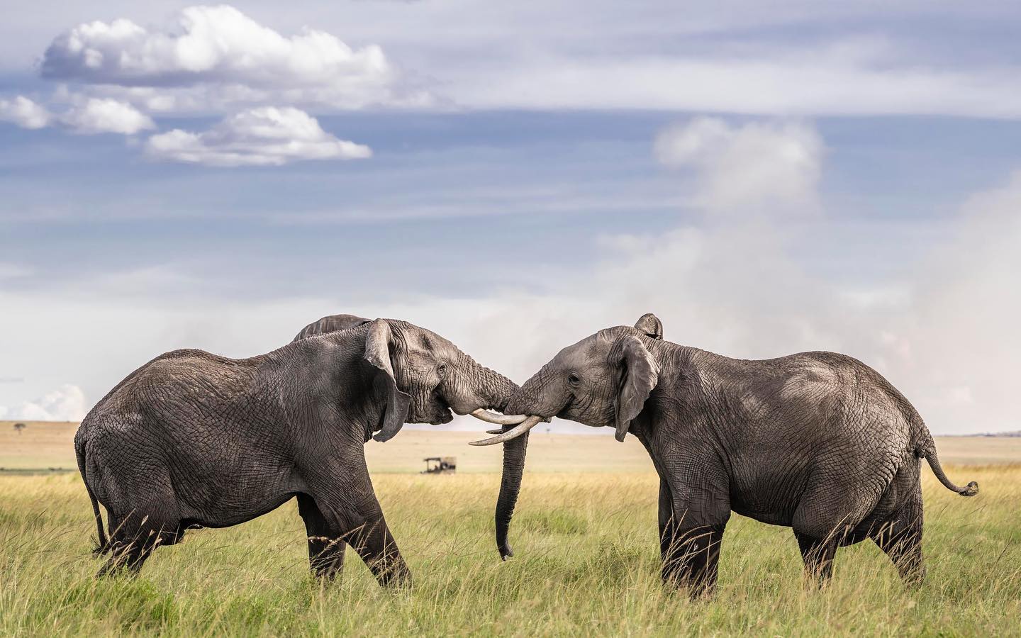 5 Best Places to Spot Elephants in East Africa - Discover Africa Blog
