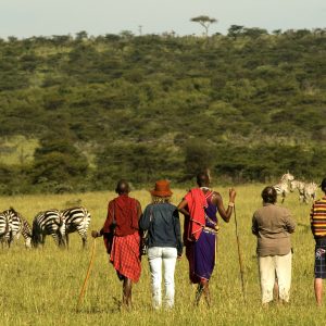 10 Best Forests in Kenya - National Forests in Kenya