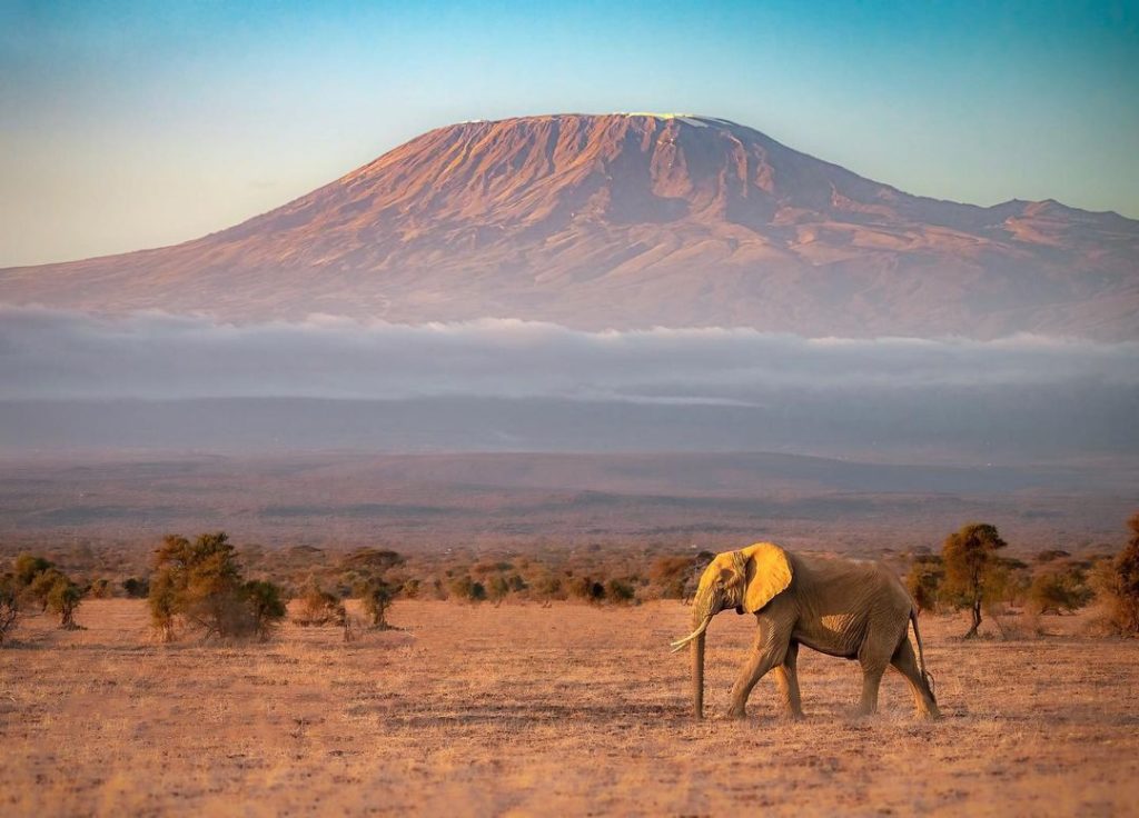 22 Famous Best African Safari Quotes - African Safari Inspirational ...