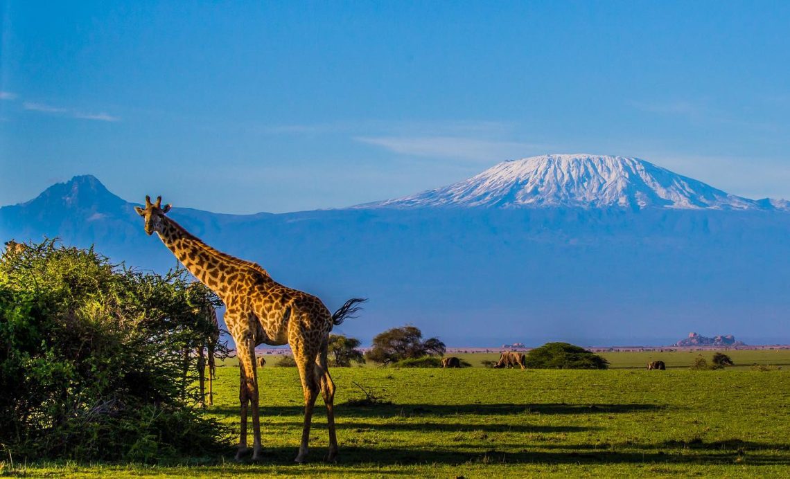 5 Unique Interesting Facts about Mount Kilimanjaro - Discover Africa Blog