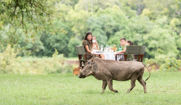22 Famous Best African Safari Quotes - African Safari Inspirational ...
