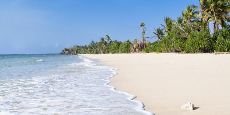 8 Best Beach Islands in Kenya 2023 - Discover Africa Blog