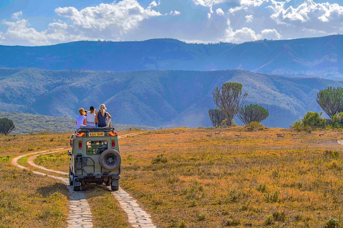 22 Famous Best African Safari Quotes - African Safari Inspirational ...