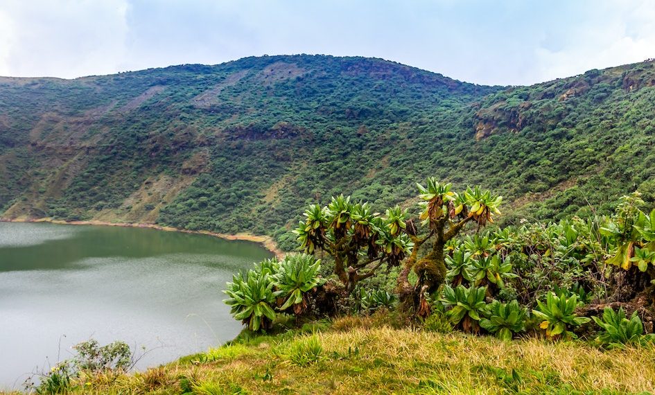 Hike Mount Bisoke for Breathtaking Views: 5 Tips to Conquer Mount Bisoke