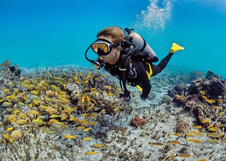 Scuba Diving in Kenya - Discover Africa Blog