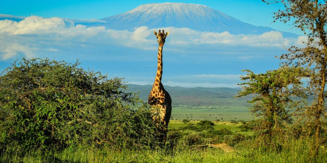 KWS Park Entry Fees 2024 - KWS Conservation Fees Rate Card