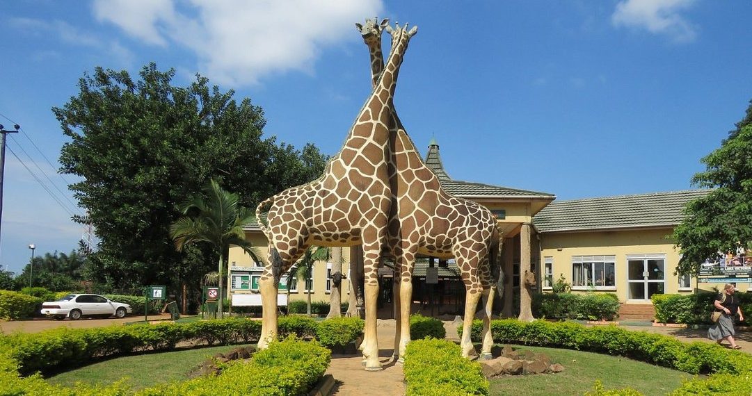 Entebbe: Uganda's Charming Gateway to Wildlife, Culture, and History ...